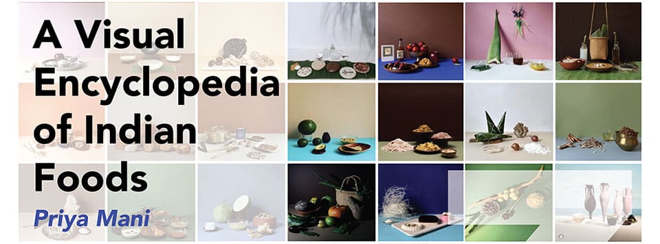 A Visual Encyclopedia of Indian Foods - Onion • ArtsEarth